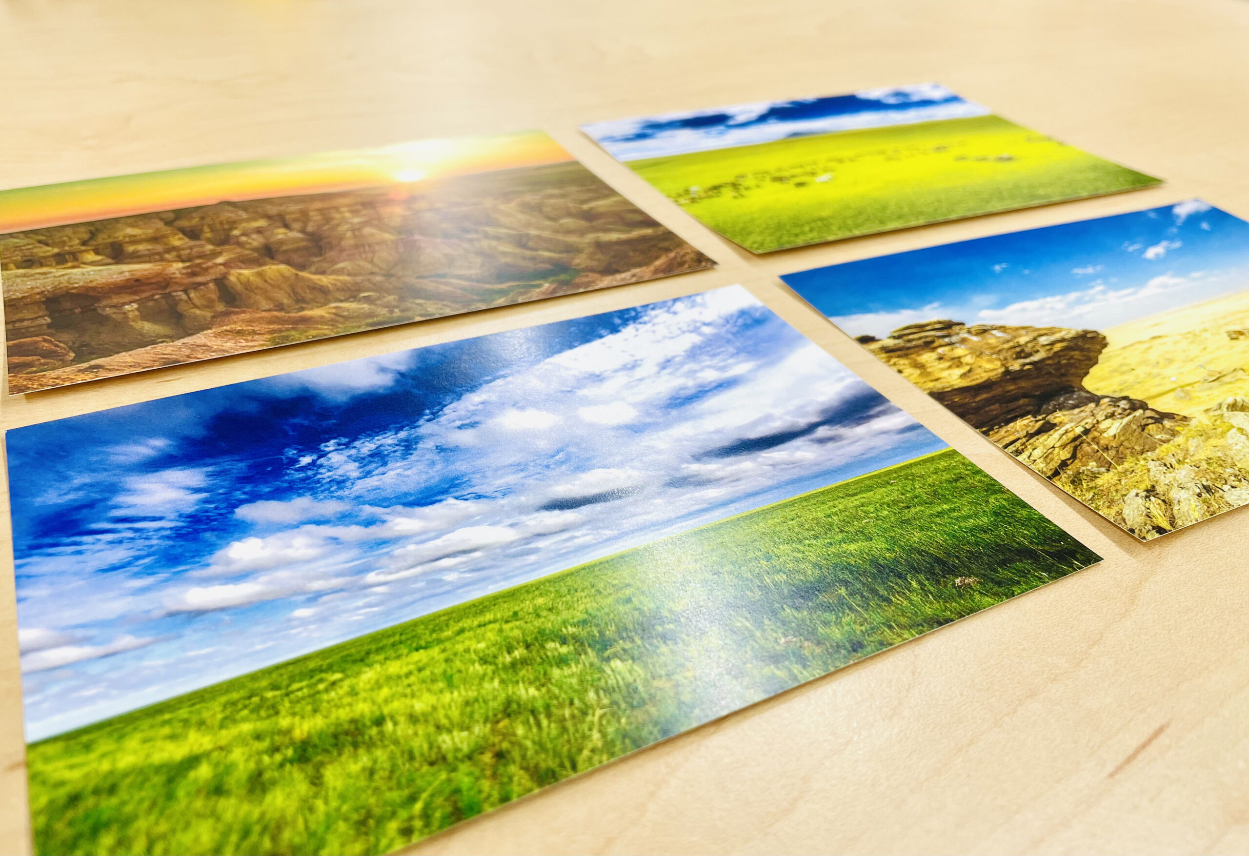 IMG_5349_coated – 株式会社マーフィーシステムズ