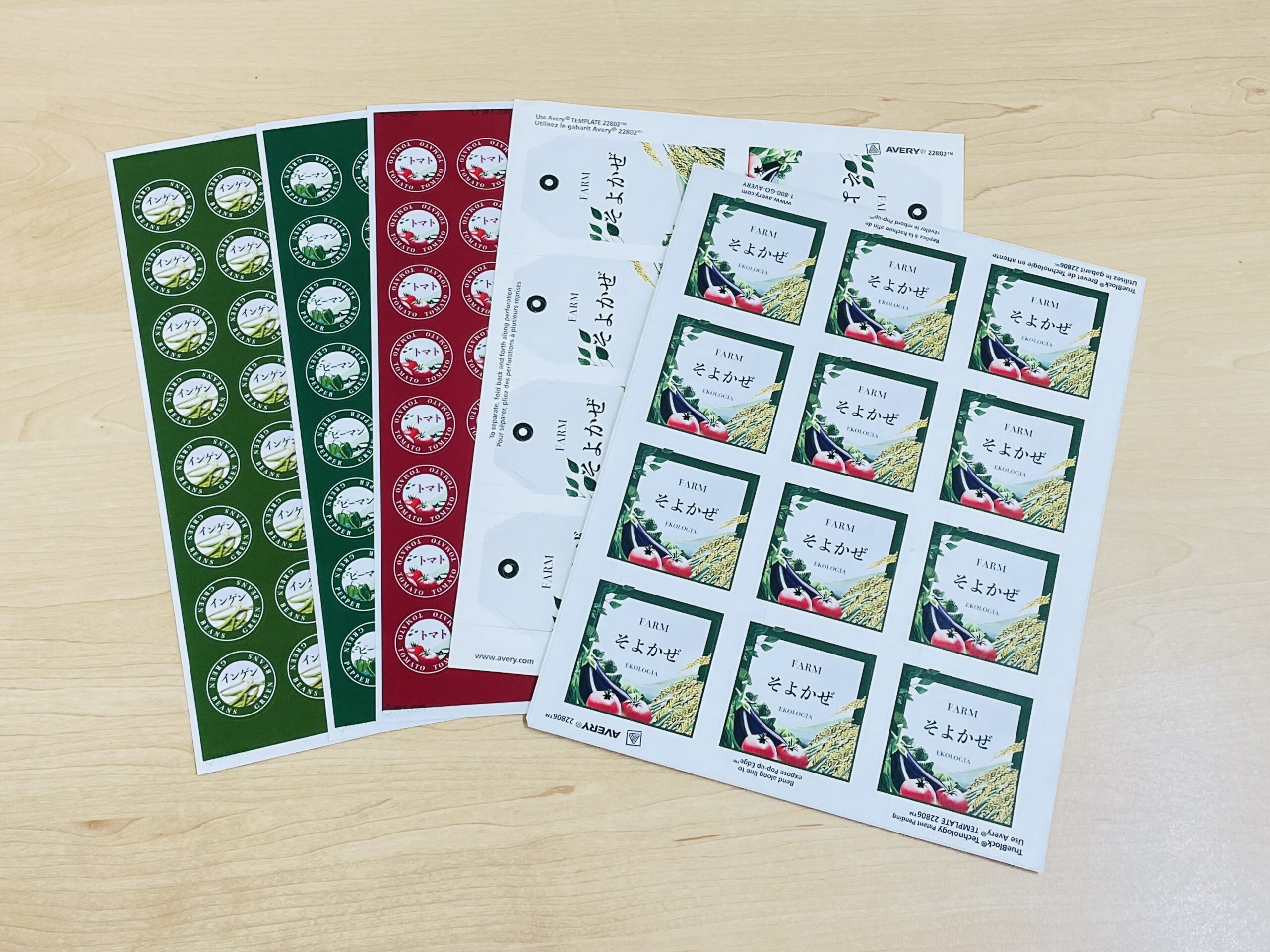 IMG_5382 – 株式会社マーフィーシステムズ